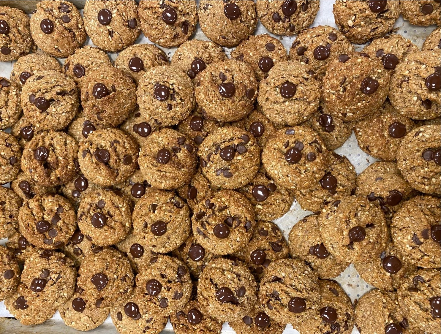 The Everyday Cookie: Sustainable, Nutritious + Delicious – TurF